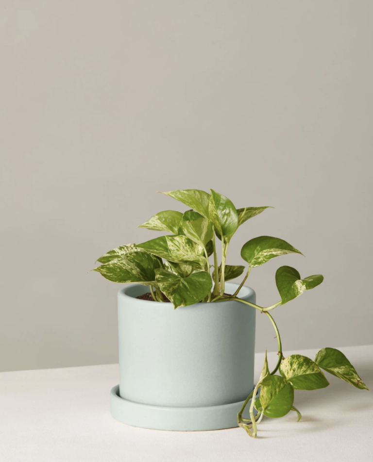 14 Gifts for Rich People Who Already Have Everything | Choosing Luxury